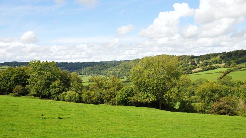 English Countryside: Green Fields, Trees and Lake Stock Image - Image ...