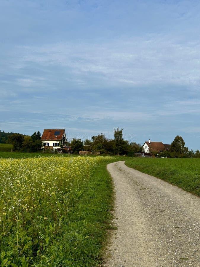 Countryside Landscape with House Fields and Road Stock Image - Image of ...