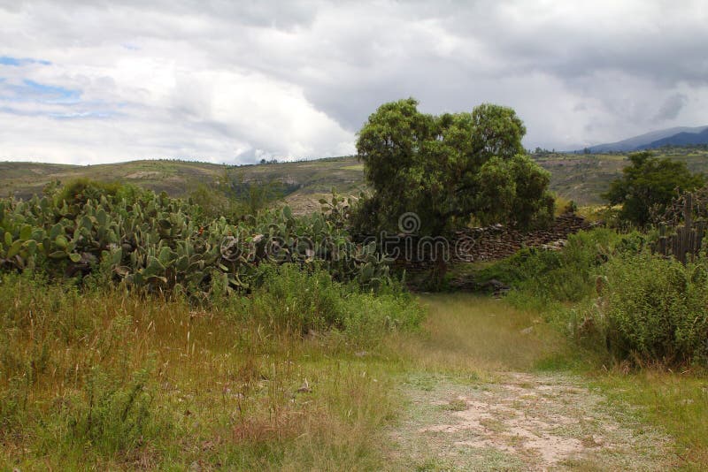 Countryside Landscape in Peru Stock Photo - Image of preinca ...