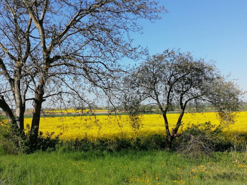 Countryside Landscape, Spring Time in Poland Stock Photo - Image of ...