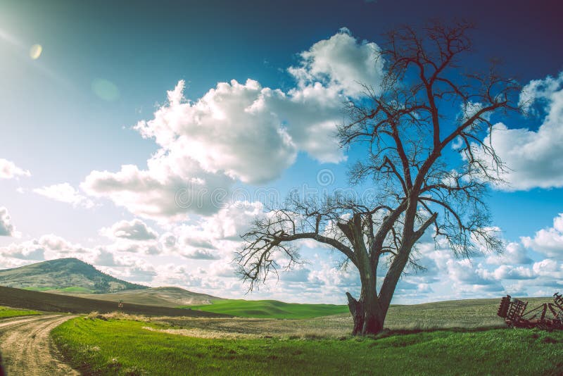 Countryside Landscape stock image. Image of place, horizontal - 53999295