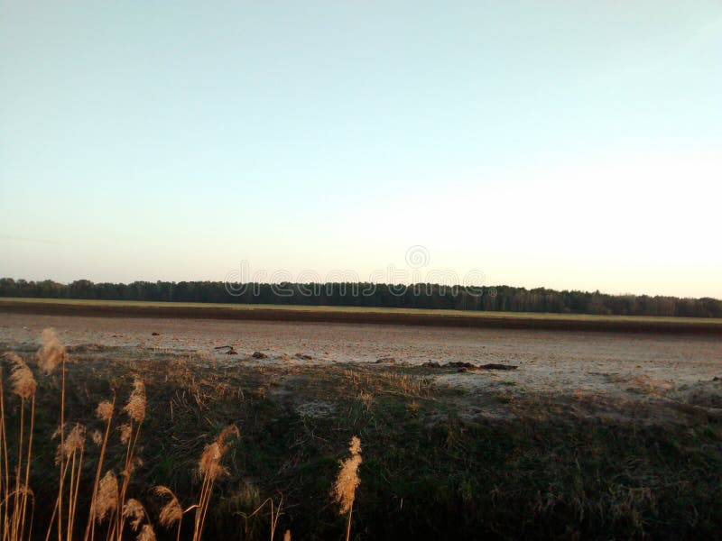Countryside Landscape in the Spring. Field with Forest on the Horizon ...