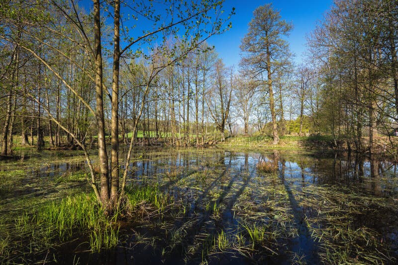 Countryside Landscape, Spring Time in Poland Stock Photo - Image of ...