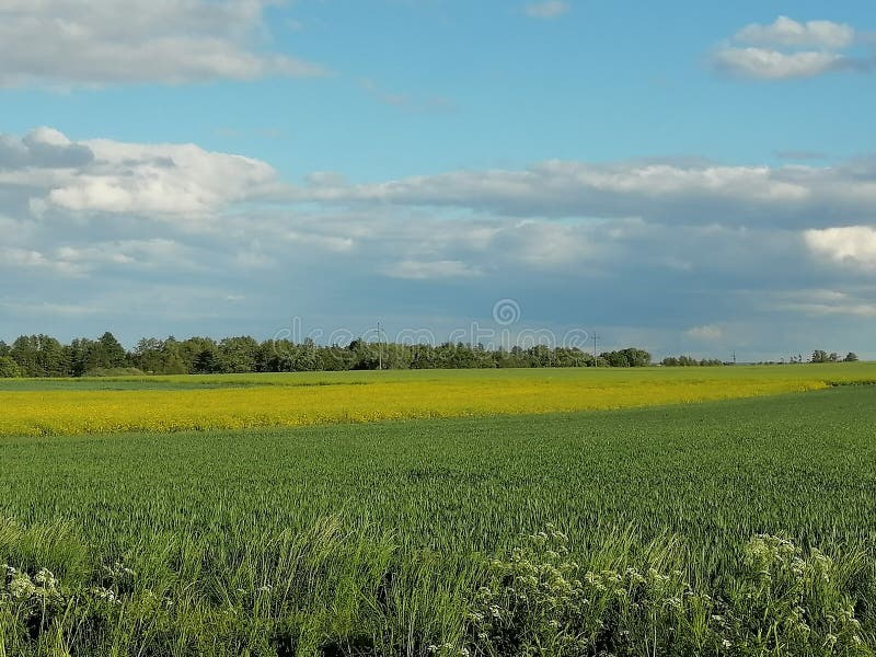 Countryside Landscape, Spring Time in Poland Stock Photo - Image of ...