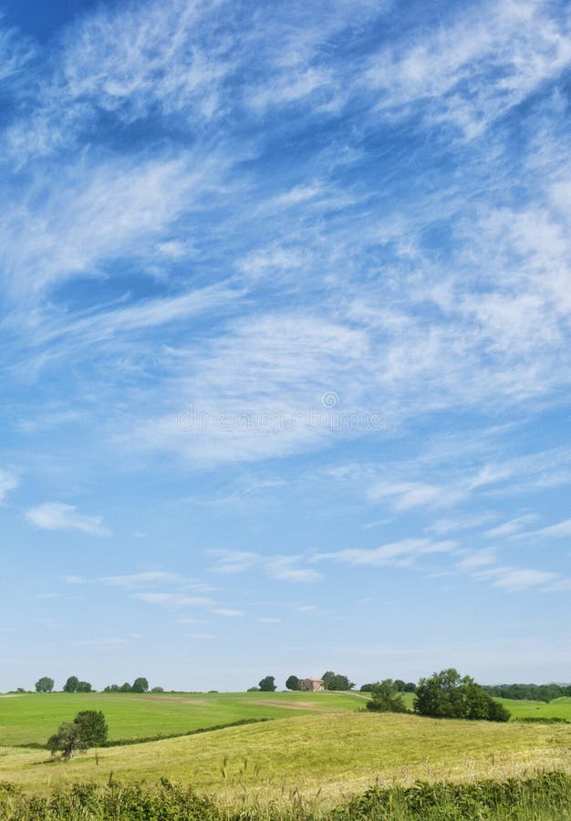 Countryside Landscape with Trees Stock Photo - Image of vertical ...