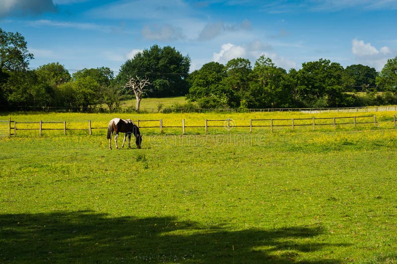 Countryside Landscape with Farm in Quebec, Canada Stock Image - Image ...