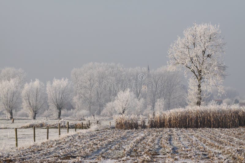 Countryside Landscape in Winter Stock Photo - Image of serenity ...