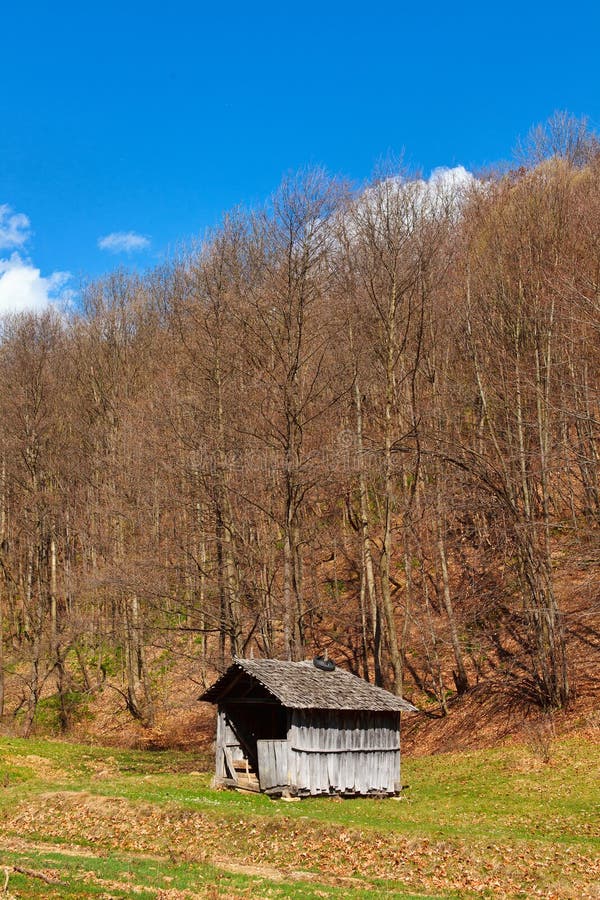 Old wooden shack in forest stock photo. Image of perforated - 26622448