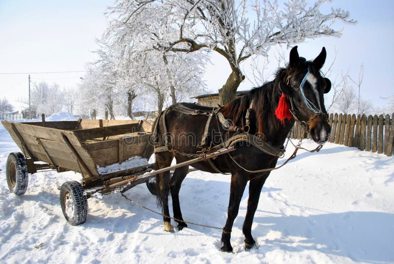 Countryside life stock photo. Image of scenic, wagon - 24318580
