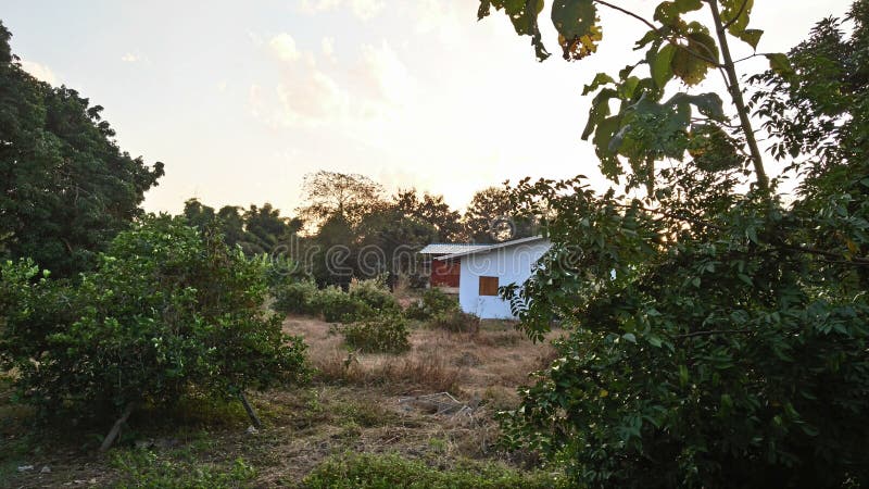 Countryside Life stock photo. Image of countryside, life - 63594644