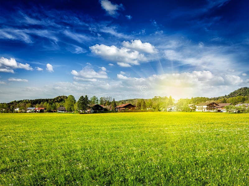 Countryside Meadow Field with Sun and Blue Sky Stock Image - Image of ...