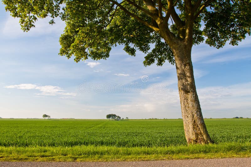 Countryside and Meadow Landscape Stock Photo - Image of terrain ...