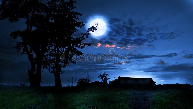 Countryside Moonlight at Night. Stock Image - Image of tree, darkness ...