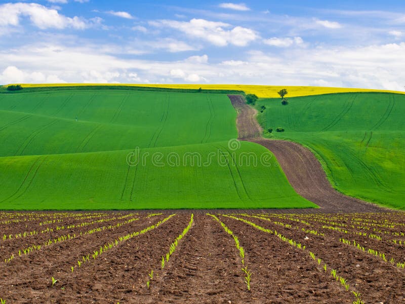 Countryside of Moravia stock photo. Image of spring, environment - 61480100