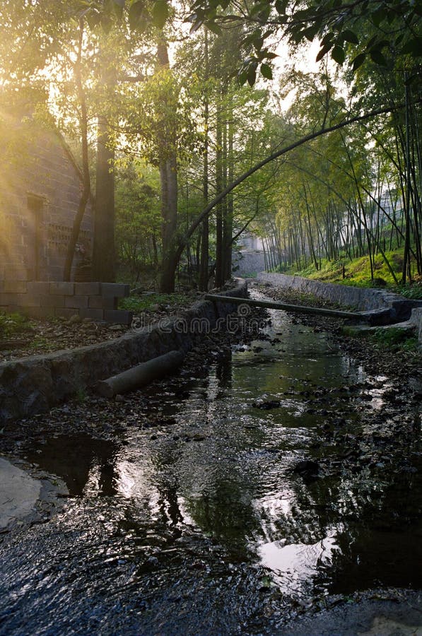 Countryside morning stock photo. Image of river, tree - 10958862