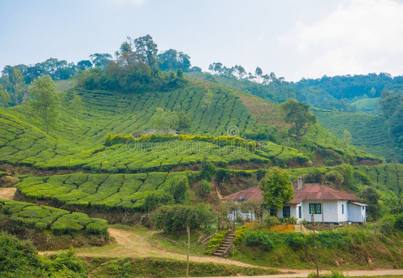 The Countryside of Munnar, Kerala, India Editorial Image - Image of ...