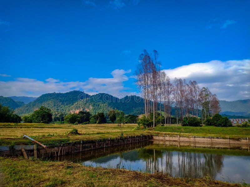 Countryside stock photo. Image of nature, landscape - 135236008