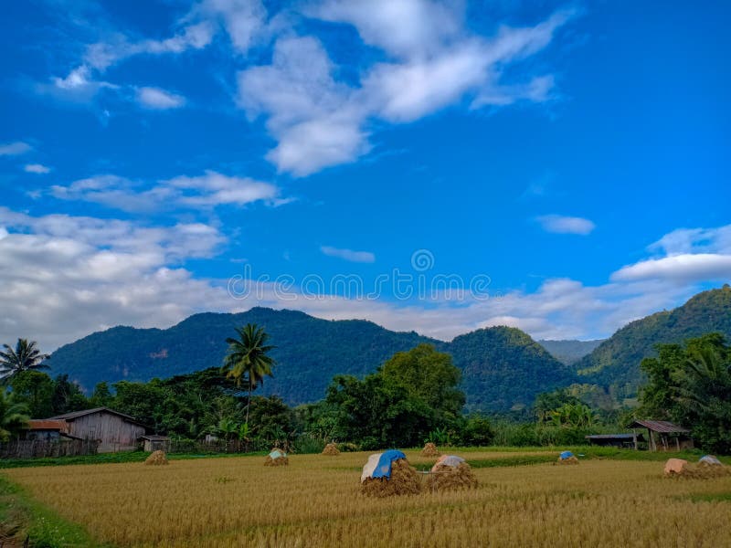 Countryside stock image. Image of nature, mountain, view - 135236143