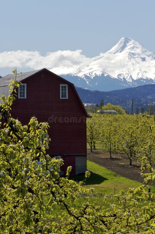 Countryside in Oregon stock photo. Image of mountain, skies - 2363098
