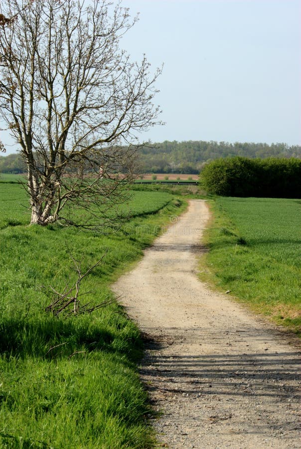 Countryside path stock image. Image of nature, tree, walk - 23913989
