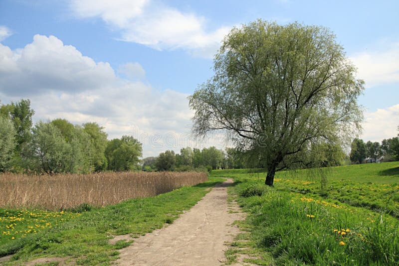 Countryside Path Picture. Image: 5070749