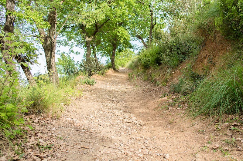Countryside path stock photo. Image of following, adventure - 88122148