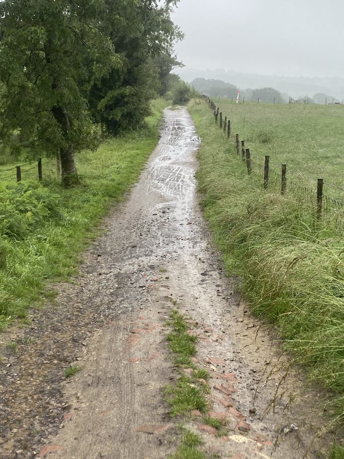 Countryside Pathway Surrounded by Nature Stock Image - Image of picure ...