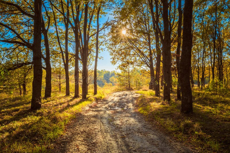 Countryside Path Road Way Pathway through Sunny Stock Image - Image of ...
