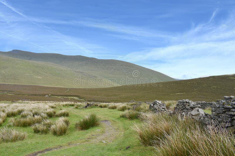 On Hillside by Old Wall and Outcrop Stock Photo - Image of amlyd ...