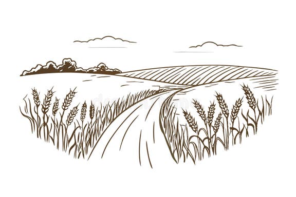 Countryside Path with Wheat Fields and Rolling Horizon Line Drawing, AI ...