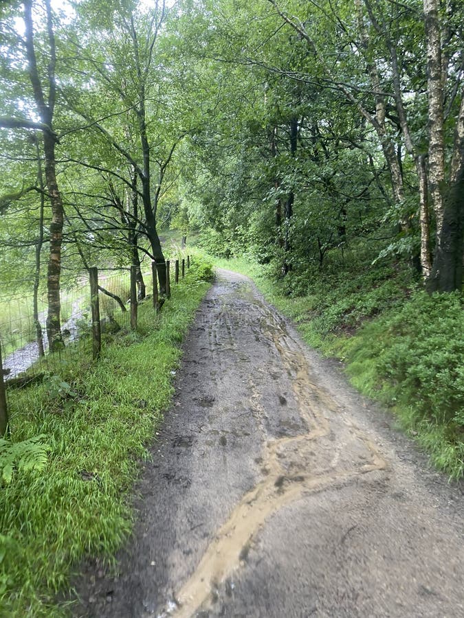 Countryside Pathway Surrounded by Nature Stock Image - Image of lake ...