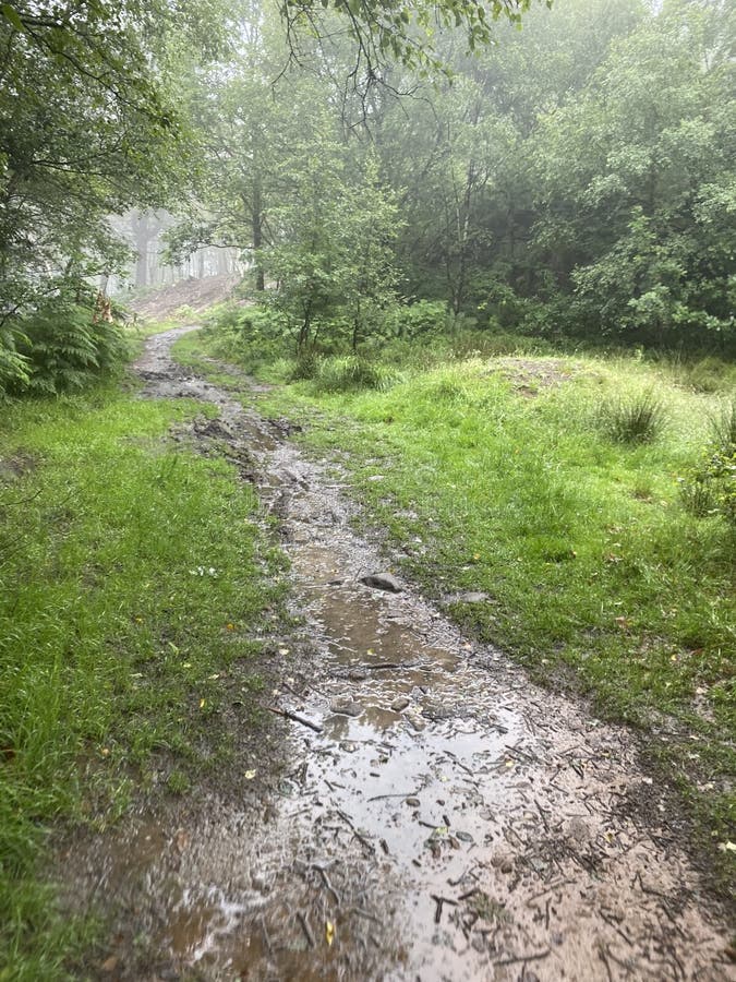 Countryside Pathway Surrounded by Nature Stock Image - Image of ...