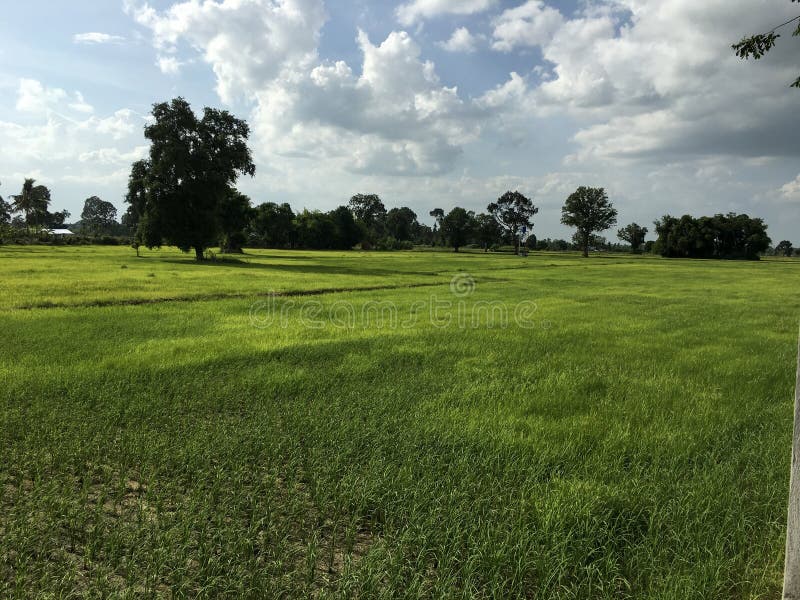 Countryside stock photo. Image of natural, nature, fields - 153772594