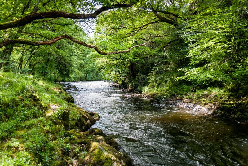 Countryside river. stock image. Image of rock, grass - 81644937