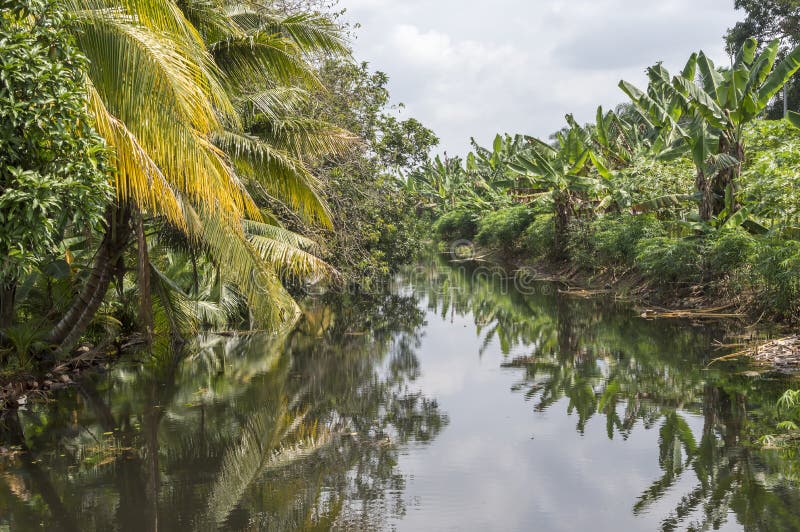 Countryside river stock photo. Image of beauty, fresh - 45938054