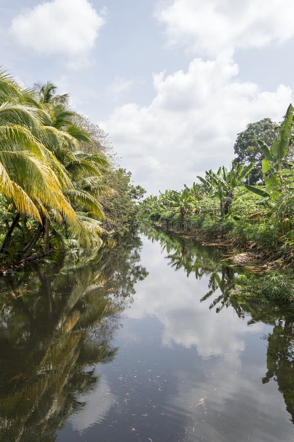 Countryside river stock image. Image of scenic, summer - 45938363