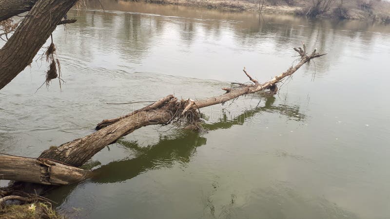 Countryside River Scene. Outdoor River Landscape in Poland Spring Stock ...