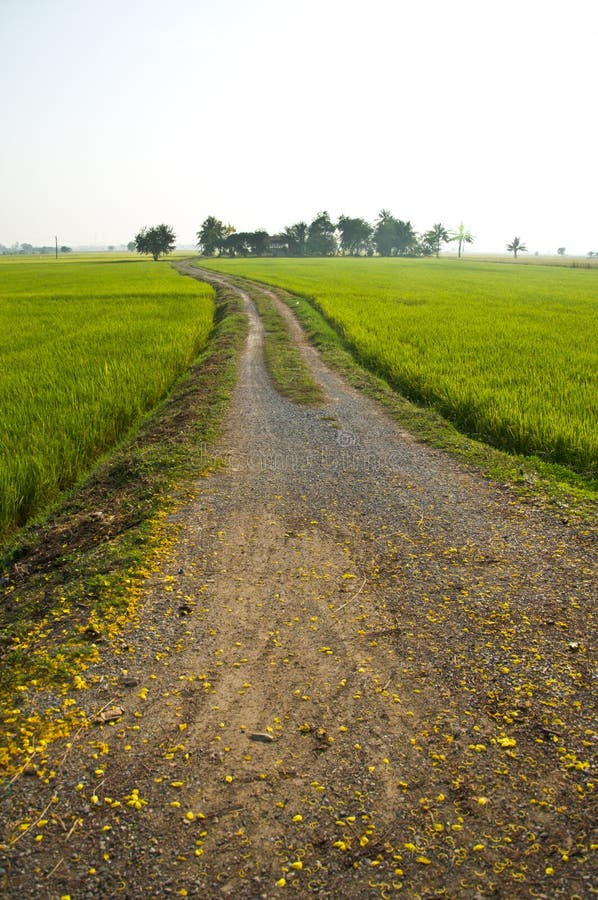 Countryside road stock photo. Image of color, countryside - 22647764
