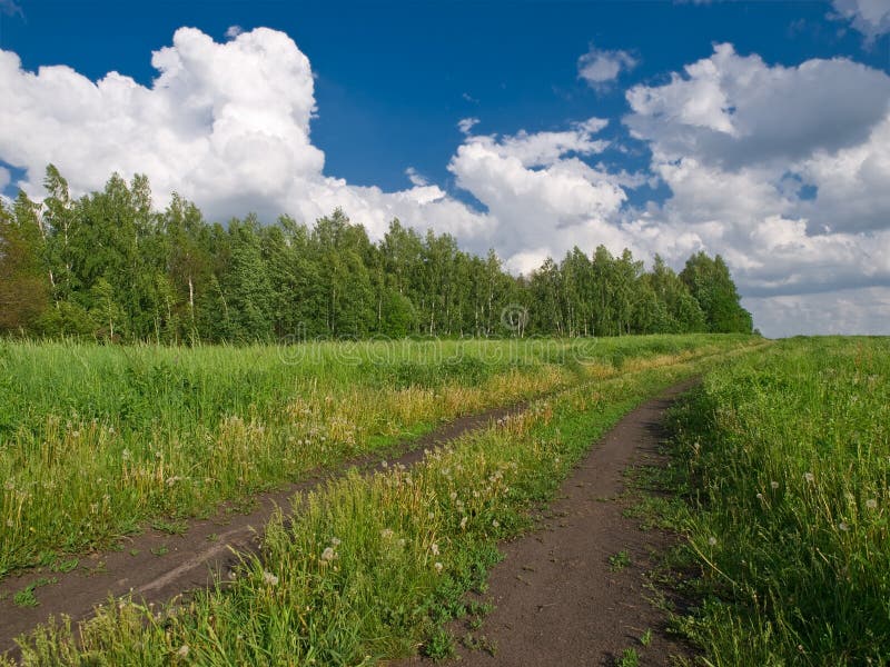 Countryside road stock image. Image of panoramic, grass - 5285059