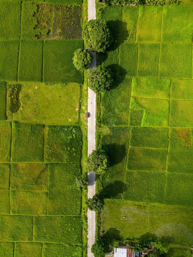 Countryside Road Going through Agricultural Fields, Top View, Vertical ...