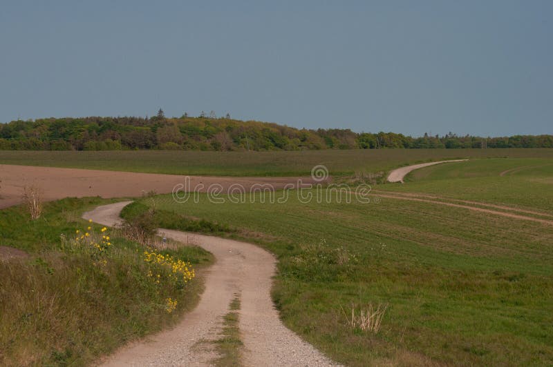 Countryside Road Near Vordingborg in Denmark Stock Photo - Image of ...