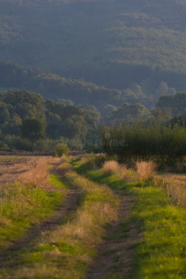 Countryside road stock image. Image of family, front - 68253173