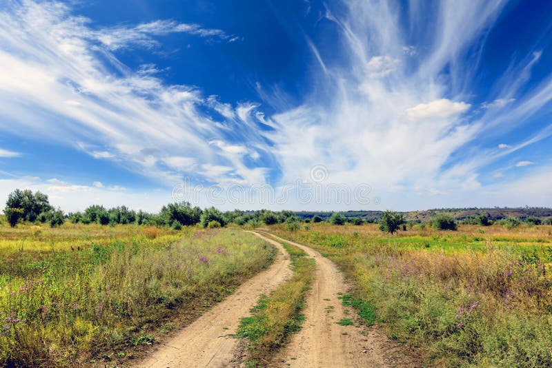 Countryside road in steppe stock photo. Image of leaf - 68397948