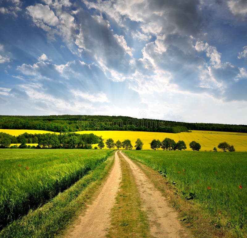 Countryside Road In Ukraine. Green Fields And Blue Sky. Winding Country ...