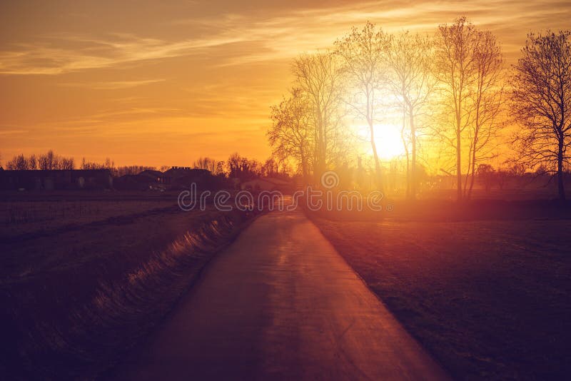 Countryside road at sunset stock photo. Image of horizon - 91315490