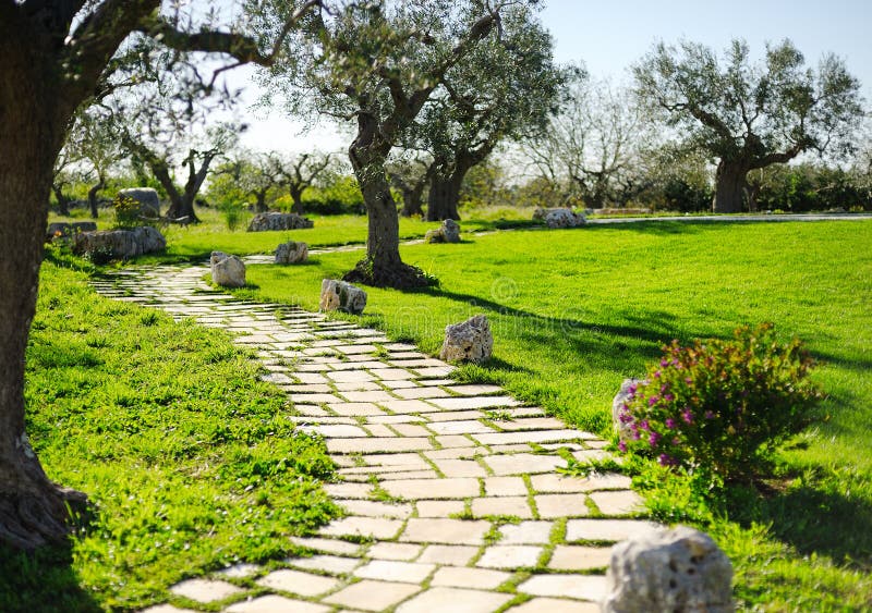 Countryside Road Surrounded by Lawn and Trees Stock Image - Image of ...