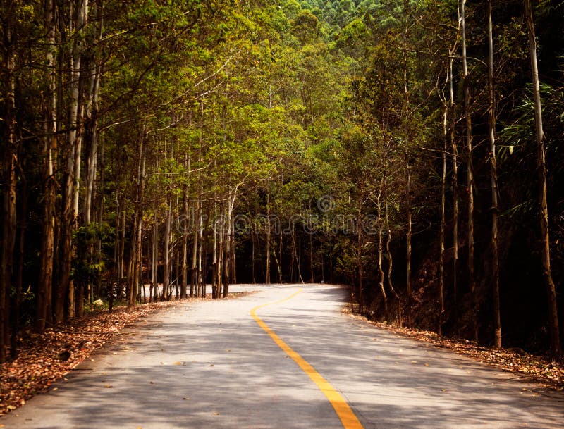 Countryside road stock image. Image of national, nature - 33278487