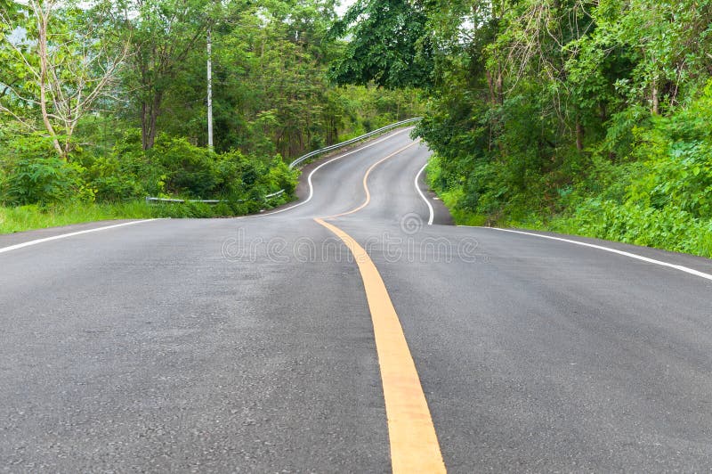 Countryside Road with Trees on Both Sides Stock Image - Image of fresh ...