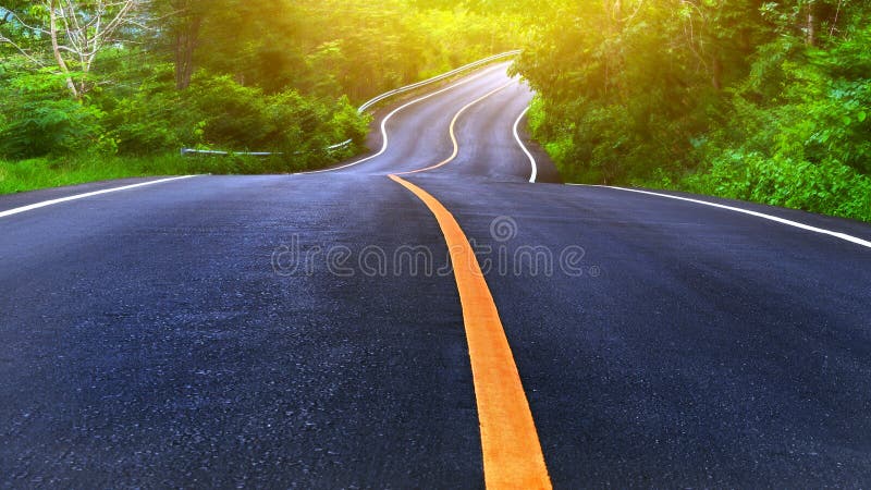 Countryside Road and Yellow Line with Trees on Both Sides, Curve the ...