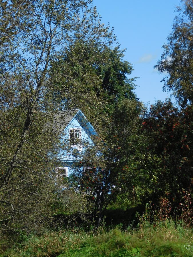 Countryside. stock photo. Image of wild, field, countryside - 76479972